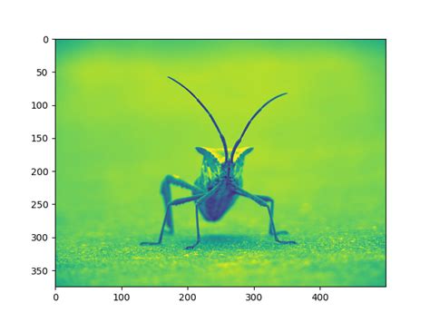image tutorial — matplotlib 3 3 0 documentation