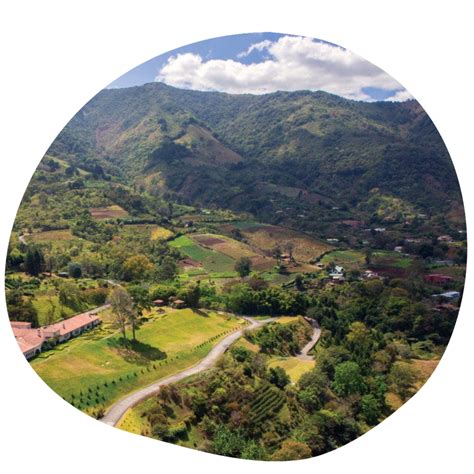Municipalidad De Escazú — Muniscr