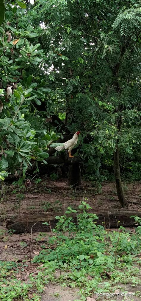 Mohammad Sameer Photography