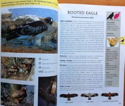 Natural Science Raptor Identification Guide For Southern Africa