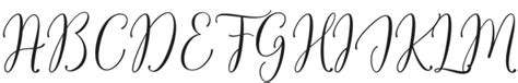 flash script regular otf 400 font script elegant what font is