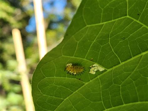 Having A Hard Time Finding An Answer Is There A Gun Shop In The