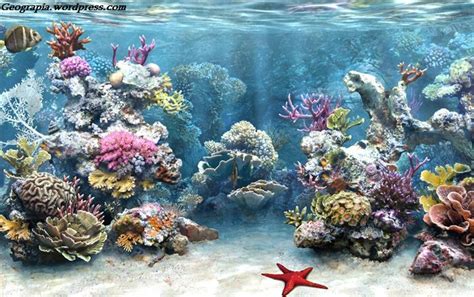 პროექტებით სწავლება