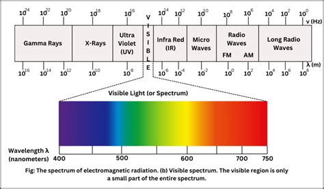 Electromagnetic Spectrum Definition Examples Scienly