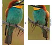How To Crop Image Using Rectangle Mathematica Stack Exchange