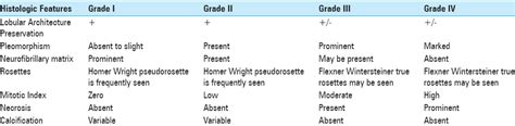 Surgical Neurology International