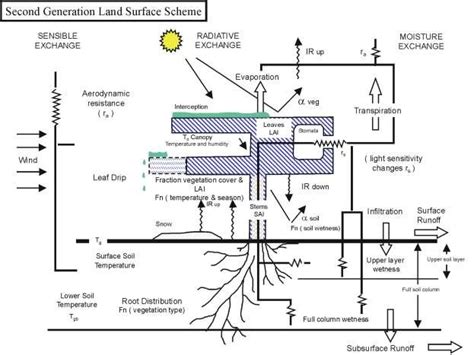 second generation canada land surface scheme download scientific diagram