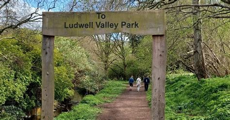 Exeter Sex Attack Police Investigation Continuing After Woman Assaulted In Park Devon Live