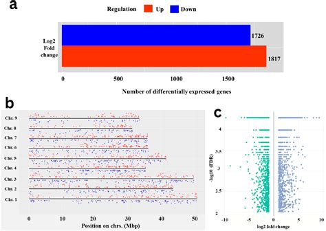 Figure 1 From Comparative Root Transcriptome Profiling And Gene