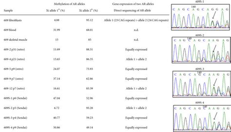 Methylation Status And Allele Specific Expression Of Androgen Receptor Download Scientific