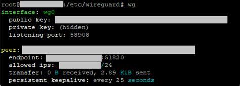 wireguard proxy configuration