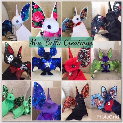 Bat World Sanctuary More Orphans Are Coming In Daily Heres A Photo