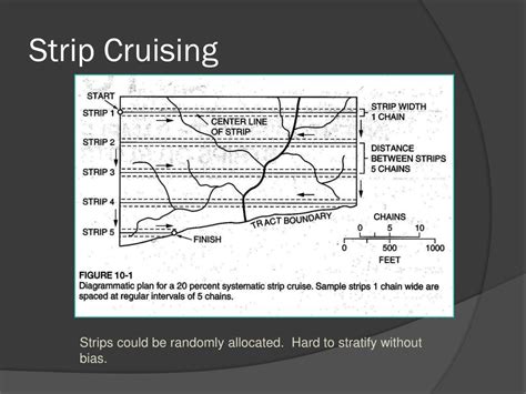 Ppt Timber Cruising Methods Powerpoint Presentation Free Download Id 2162779