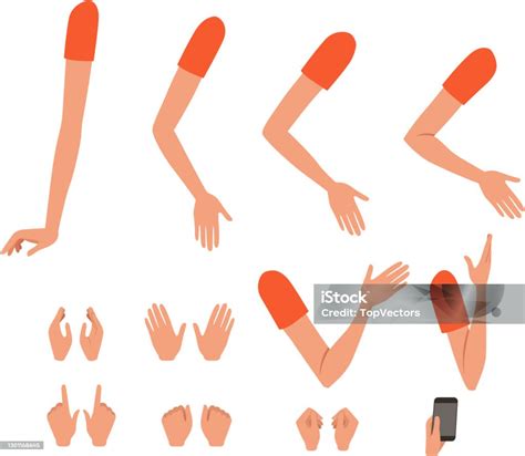 다양한 포즈 세트의 여성 팔과 손바닥 소녀 캐릭터 제작 세부 사항 만화 벡터 일러스트레이션 0명에 대한 스톡 벡터 아트 및 기타 이미지 Istock