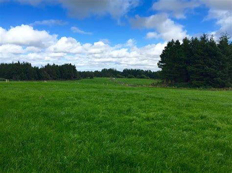 Soil Sampling How To Read Your Soil Test Results Agriland Ie