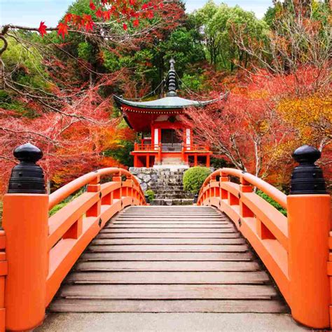 Kyoto Garden Japan