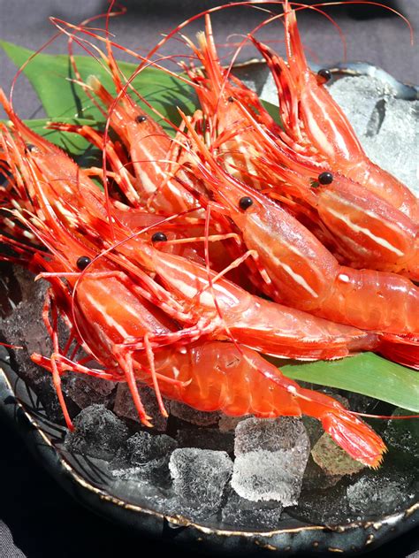 Fish In Season Ama Ebi Sweet Shrimp Shiros Sushi Restaurant