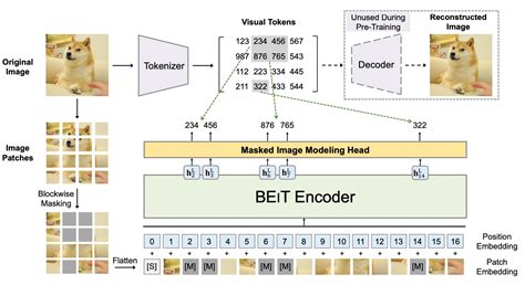 [22 08] Beit V2 Docsaid