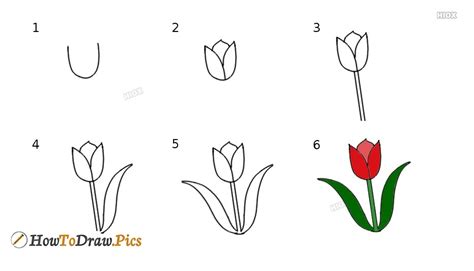 Einfach Und Sch N Tulpe Zeichnen Ideen Zeichnenideen Com
