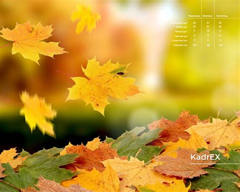 Шпалери на робочий стіл Вересень листопад Професійні видання