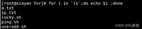 Shell循环语句详解 for循环 shell for CSDN博客