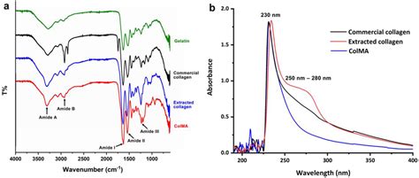 A FTIR And B UV Vis Spectra Of Different Samples Download Scientific Diagram