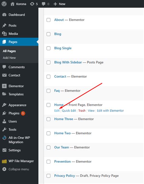 Page Edit With Elementor Documentation