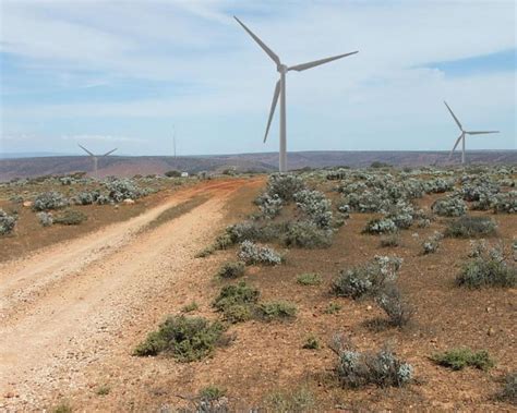 Nexif Energy Signs Epc Contract For 110mw Cogen Project In Thailand
