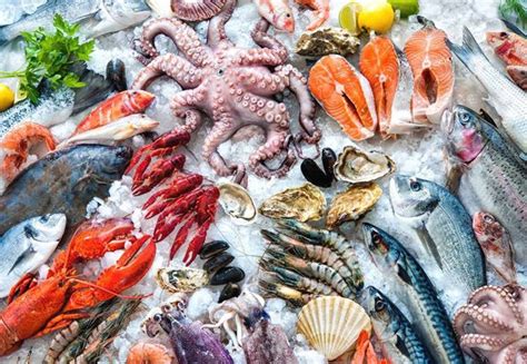 Top Công ty cung cấp thực phẩm đông lạnh uy tín nhất Việt Nam Toplist vn
