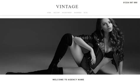 Best Porn Themes That Are Not WordPress Adult Blog