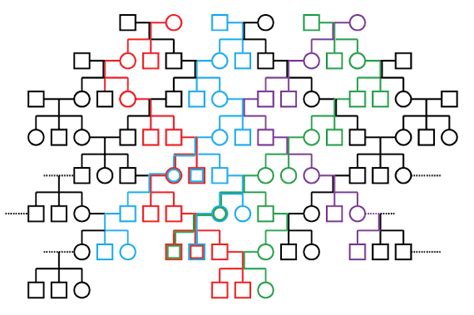 Mitochondrial Eve And Y Chromosome Adam Article Biologos