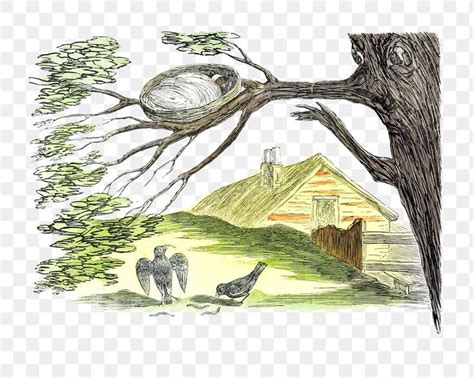 Drawing Of A Bird Nest On A Tree Free Image By Rawpixel Com
