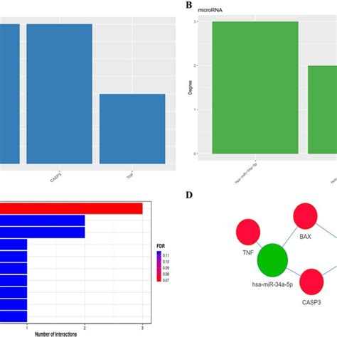 The Mirnagene Regulatory Network Molecular Pathways Diseases And