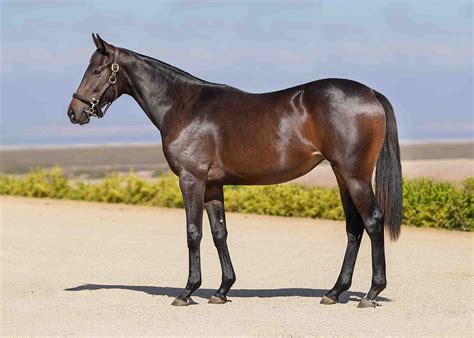 Lot 131 Samasana Wilgerbosdrift