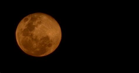 Review Samsung Galaxy S24 Ultra Photography Performance