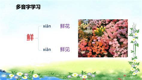 10《纸的发明》 课件21世纪教育网 二一教育