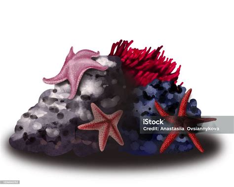 모래 위에 수중 불가사리와 돌의 수채화 그림 해양 조성 손으로 그린 프린트 바닷속에 대한 스톡 벡터 아트 및 기타 이미지