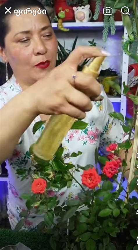 სახლი სიმწვანეში ფოტოზე იტალიელი მებაღეა ჩიტა ამ მეთოდს ის გვასწავლის ბუგრებისგან