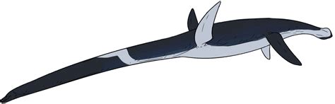 Ela Elasmosaurus By Superraptorm On Deviantart
