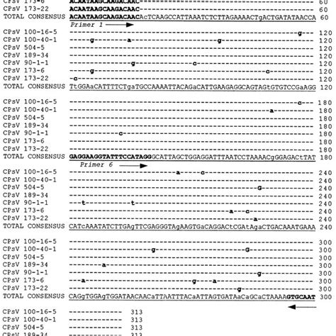 Pileup Of The Consensus Sequence Of 1 7 Fragments From Isolates 173 22