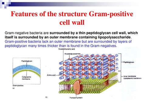 Ppt Lecture No 1 Micro Powerpoint Presentation Free Download Id