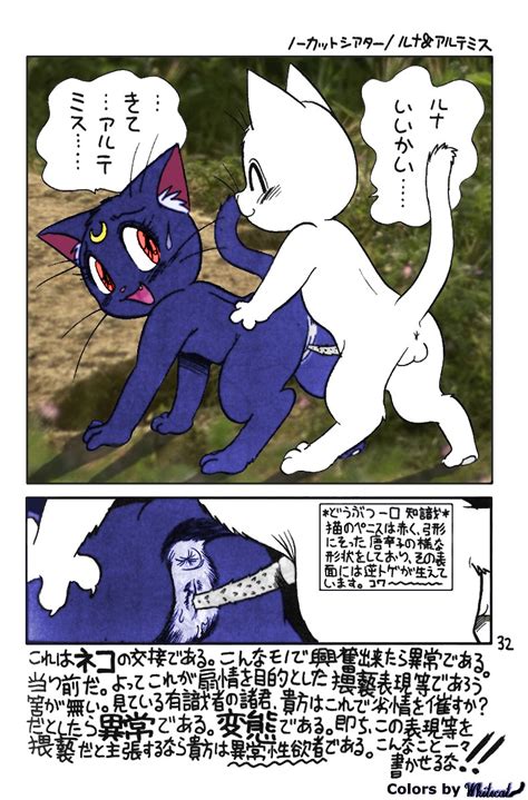 Rule 34 1993 Anus Artemis Sailor Moon Bishoujo Senshi Sailor Moon