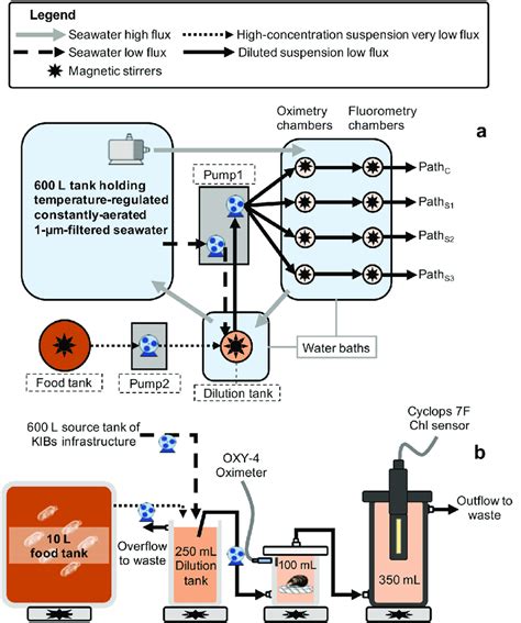 Fluorometer Diagram At Andrea Kimber Blog