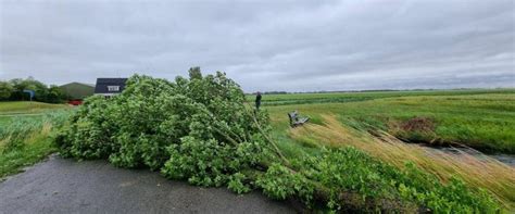 Knmi Zeer Zware Zomerstorm Poly