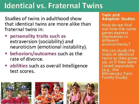 The Biology Of Behavior Power Point Presentation By