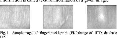 Figure 1 From A Finger Knuckle Print Classification Using Svm And K Nnand Result Analysis For
