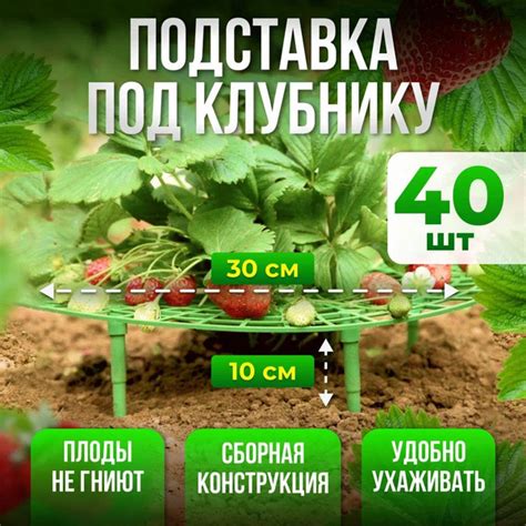 Подставка под клубнику Опора для растений 40 штук купить по