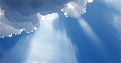 Mastering Saas Agreements Contract Nerds