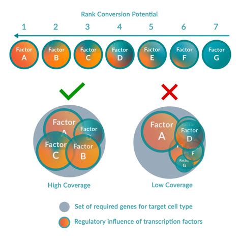 Direct Cellular Reprogramming Mogrify® Technology