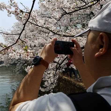 Sandy Ariel澹泊居 YouTube